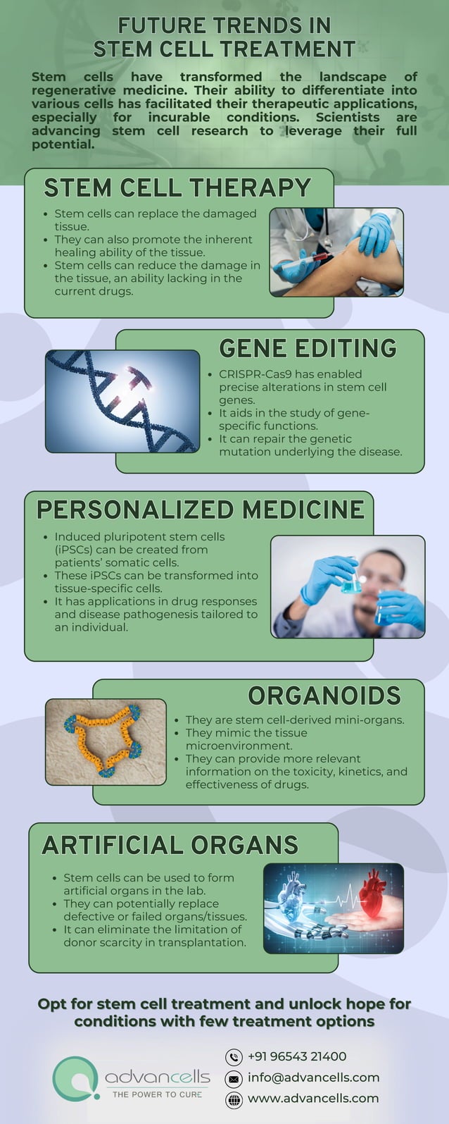 The Future of Stem Cell Technology: Trends and Innovations | PDF