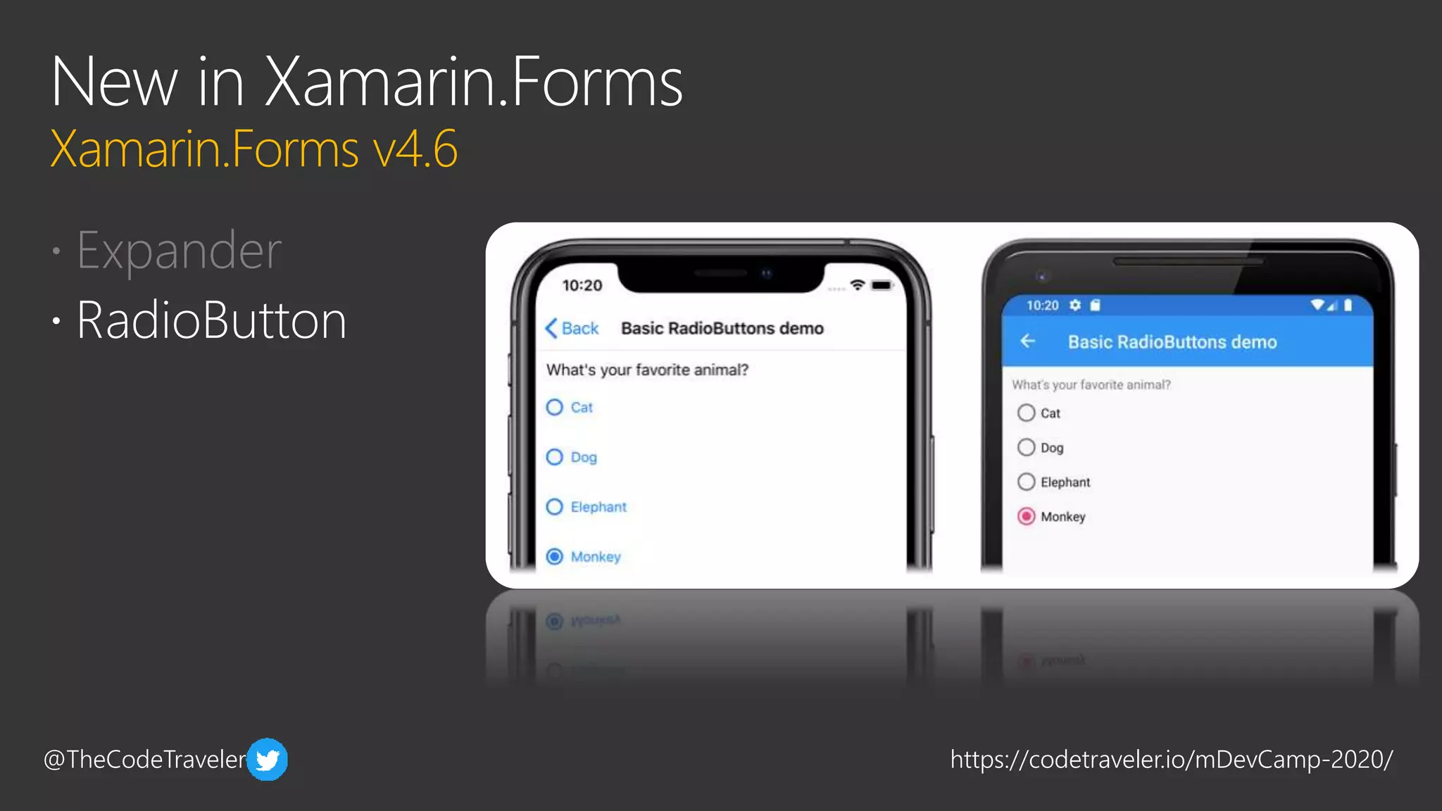 The Future of Xamarin | PPTX | Programming Languages | Computing