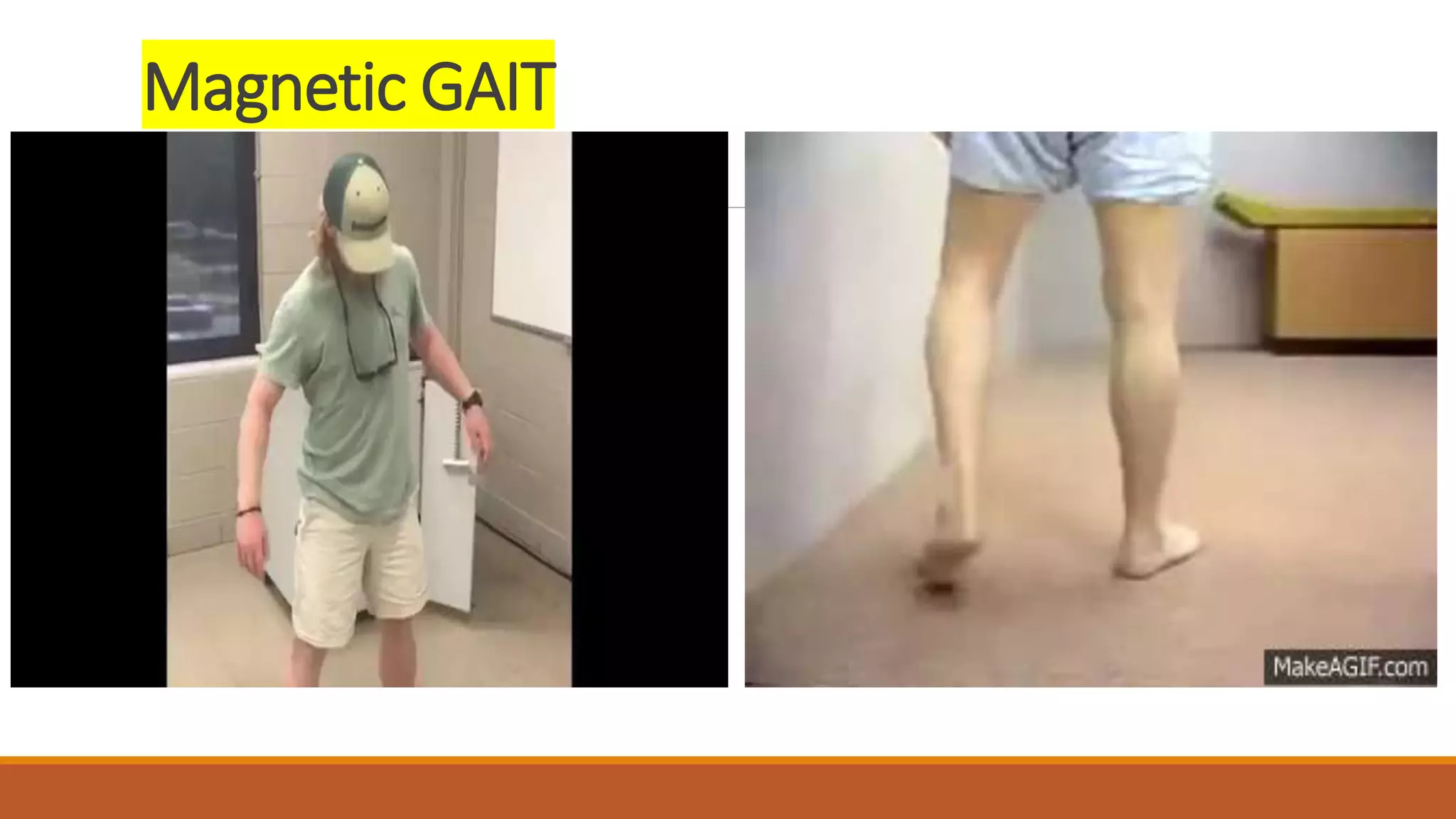 the gait.pptx