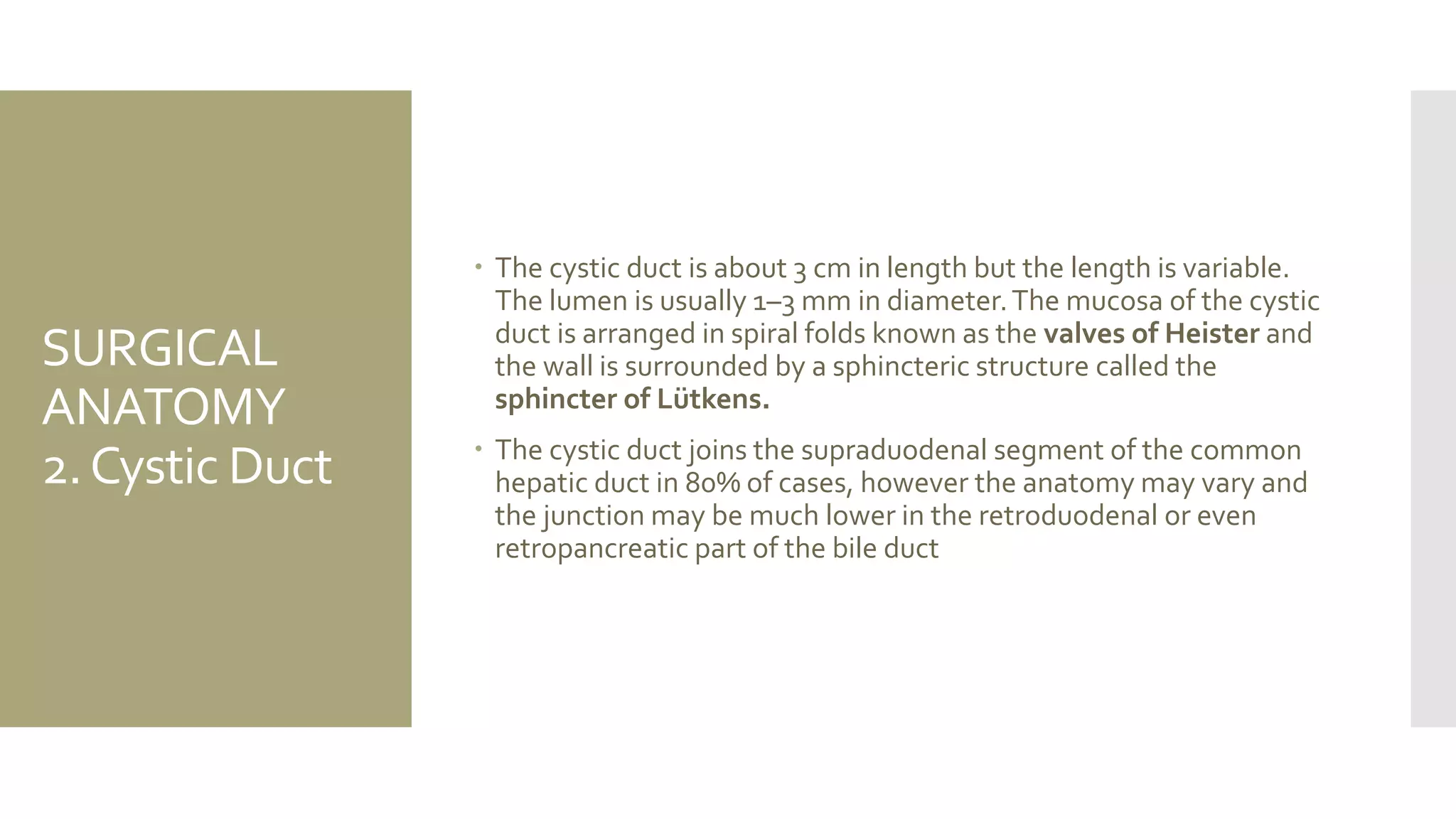 The gallbladder and bile ducts | PPTX