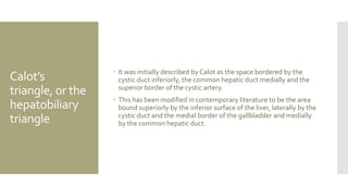 The gallbladder and bile ducts | PPTX