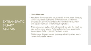 The gallbladder and bile ducts | PPTX