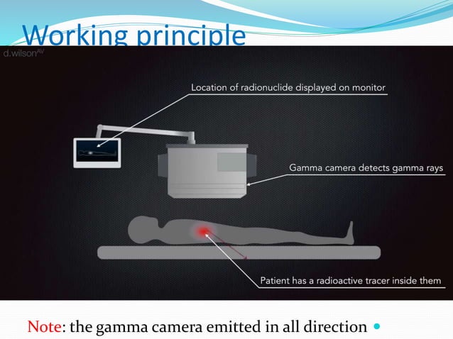 The gamma camera ‫‬ | PPTX | Medical Tests | Medical Health