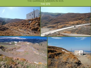 The garigue garden presentation | PPTX