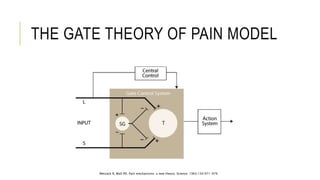 The Gate Theory of Pain | PPT