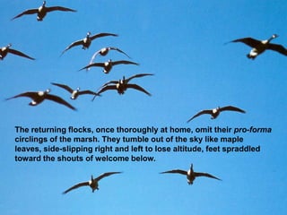 The Geese Return | PPTX