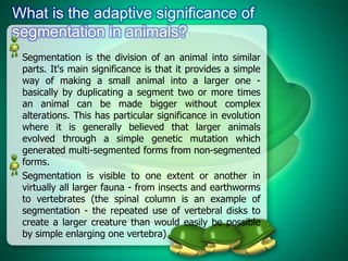 The general body plans of animals. biology | PPTX