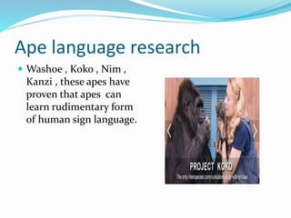 genesis of language and civilization | PPTX | Science