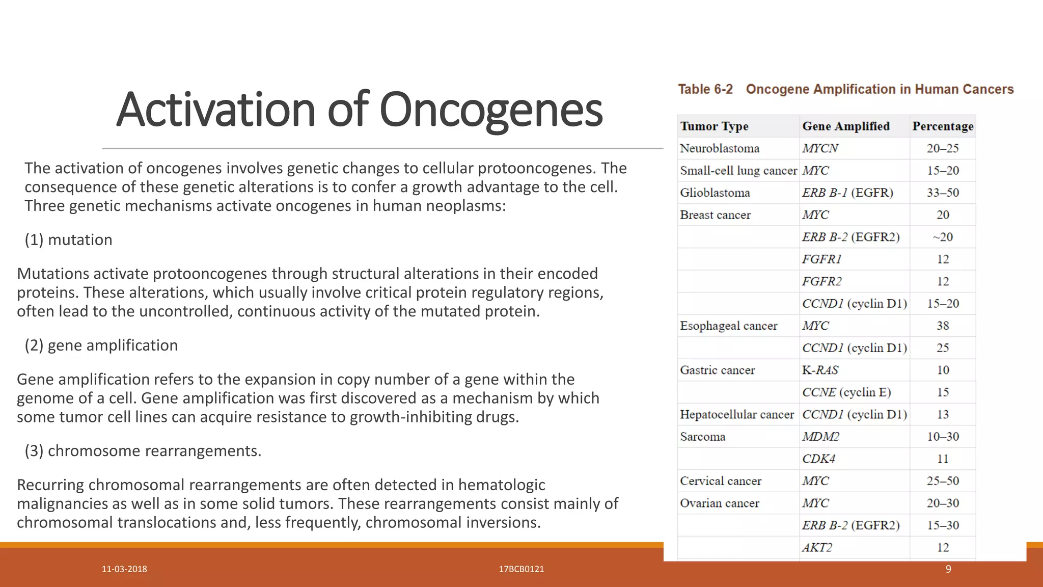 The Genetic Basis of Cancer | PPTX