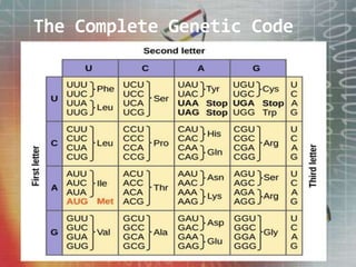 The genetic code | PPTX | Programming Languages | Computing