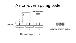 AS Biology - The genetic code | PPTX