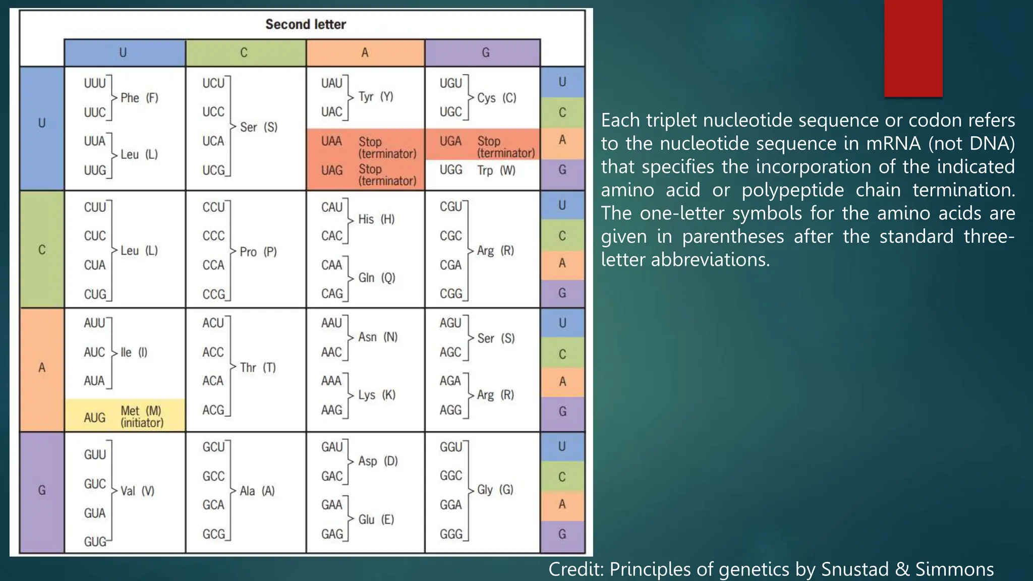 THE GENETIC CODE.pptx