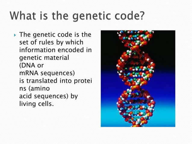 The Genetic Code | PPT