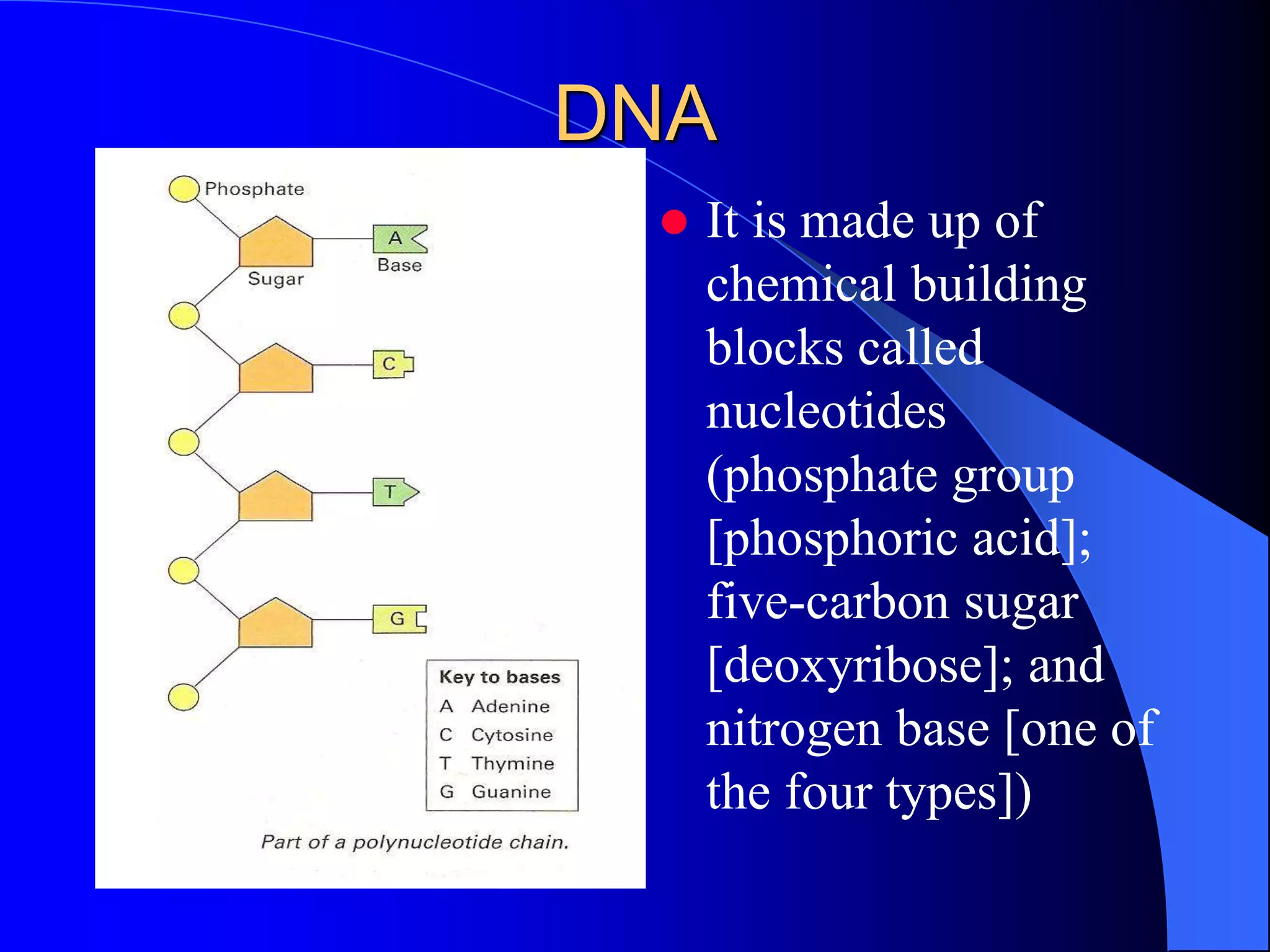 The genetic material | PPTX