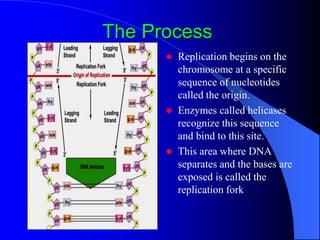 The genetic material | PPT