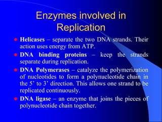 The genetic material | PPT