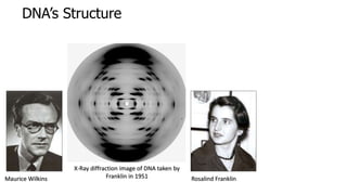 The genetic material.pptx