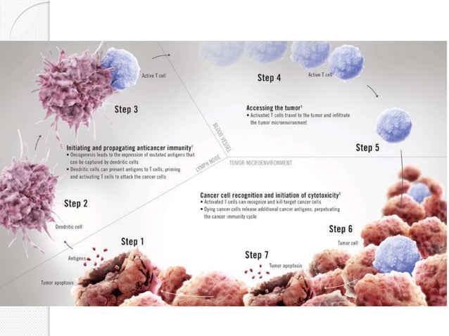 The Genetics of Cancer | PPTX