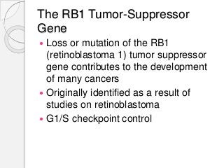 The Genetics of Cancer | PPTX