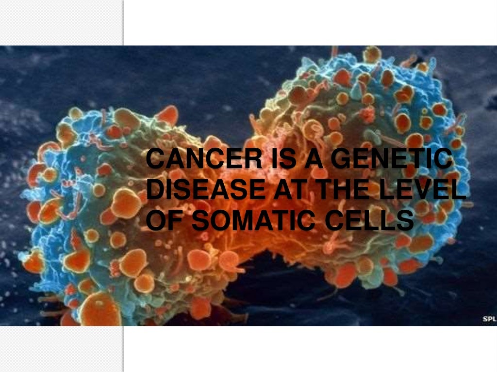 The Genetics of Cancer