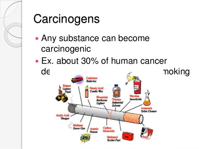 The Genetics of Cancer