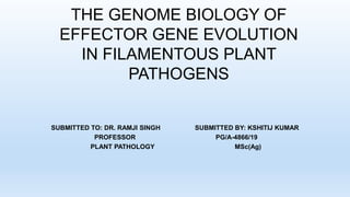 The genome biology of effector gene evolution in filamentous plant ...