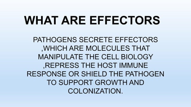 The genome biology of effector gene evolution in filamentous plant ...