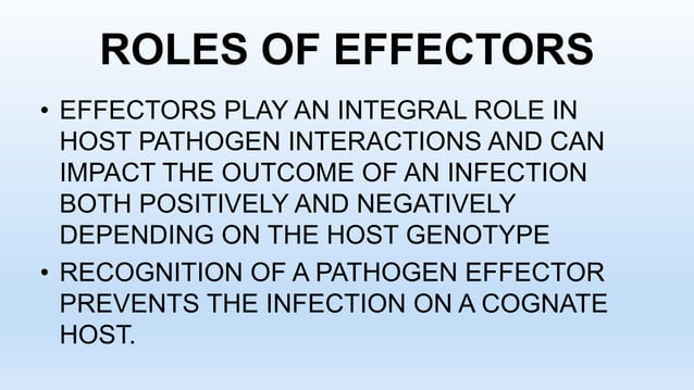 The genome biology of effector gene evolution in filamentous plant ...