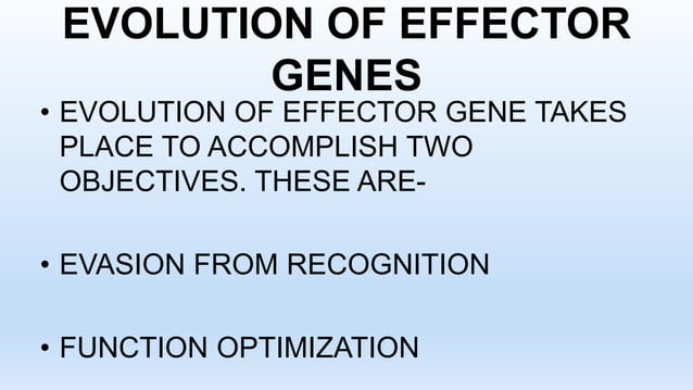 The genome biology of effector gene evolution in filamentous plant ...
