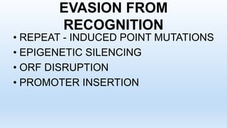 The genome biology of effector gene evolution in filamentous plant ...