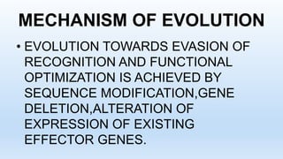The genome biology of effector gene evolution in filamentous plant ...
