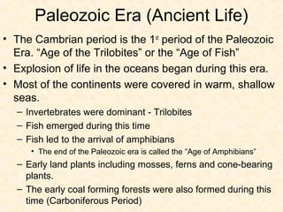 The geological time scale | PPT