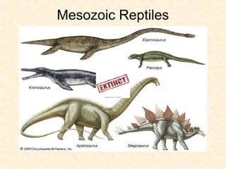 The geological time scale | PPT