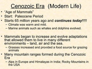 The geological time scale | PPT | Geology | Science
