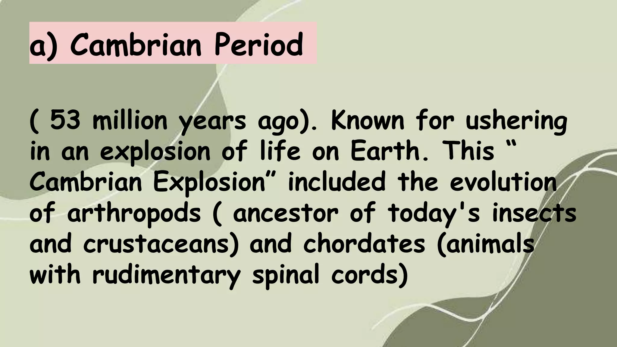 The Geologic Time Scale .pptx