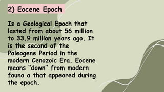 The Geologic Time Scale .pptx