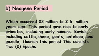 The Geologic Time Scale .pptx