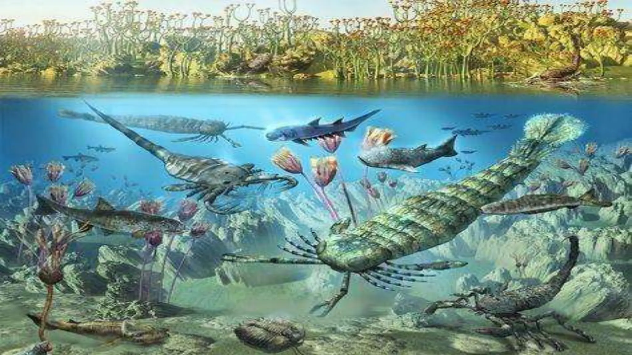 the geologic timescale general biology 2.pptx