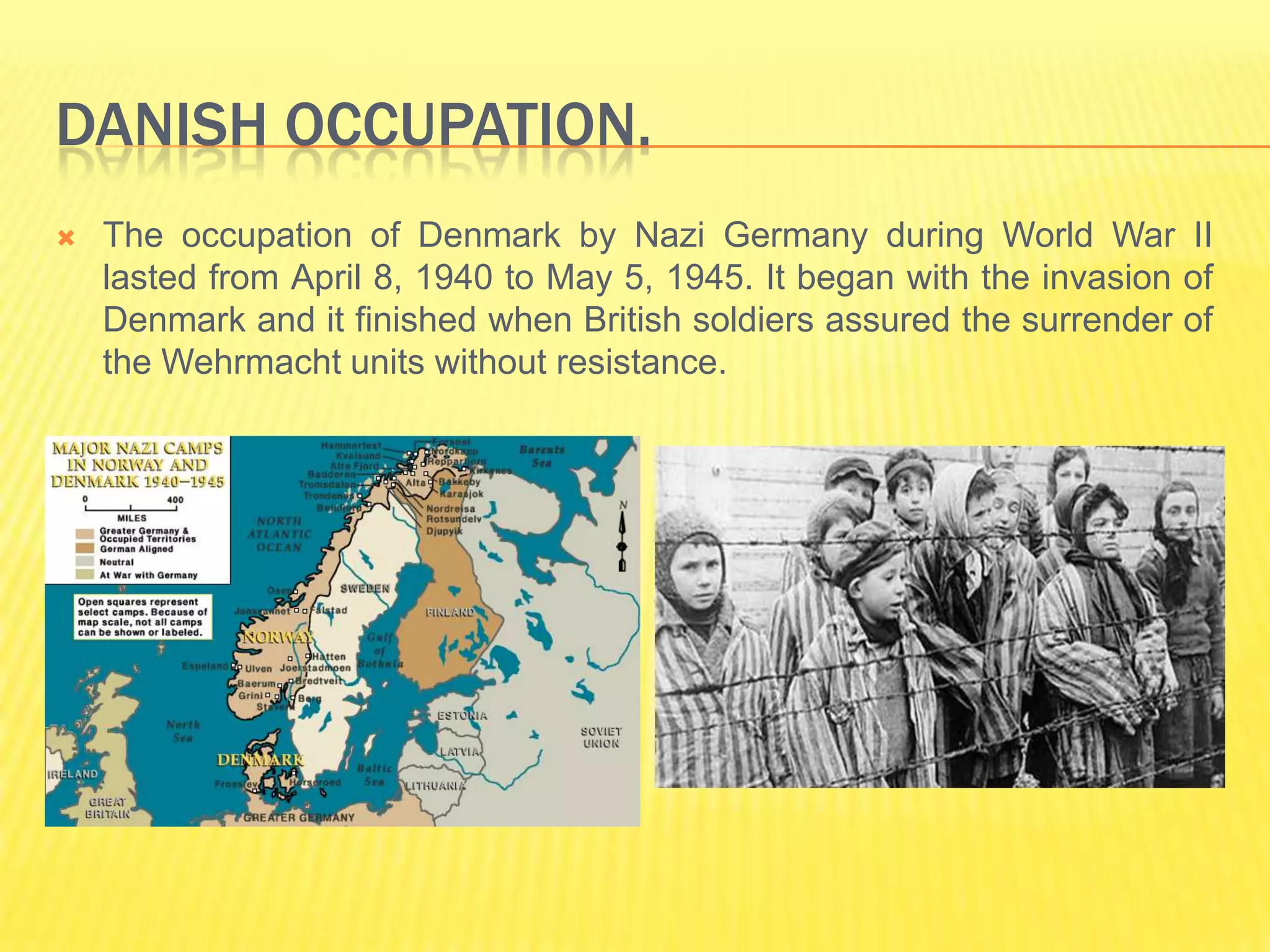The german occupation | PPTX