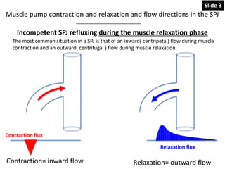 The giacomini vein and its pathological flows ( Phoenix, ACP annual ...