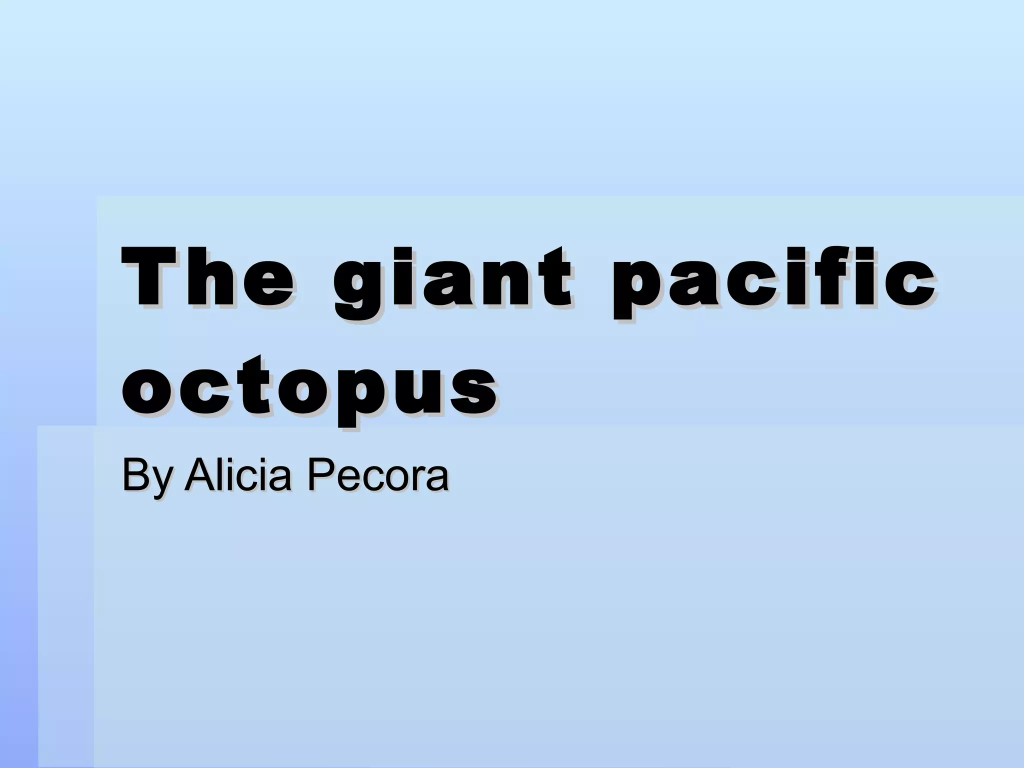The Giant Pacific Octopus | PPT