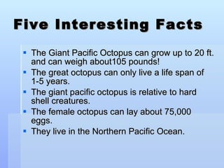 The Giant Pacific Octopus | PPT