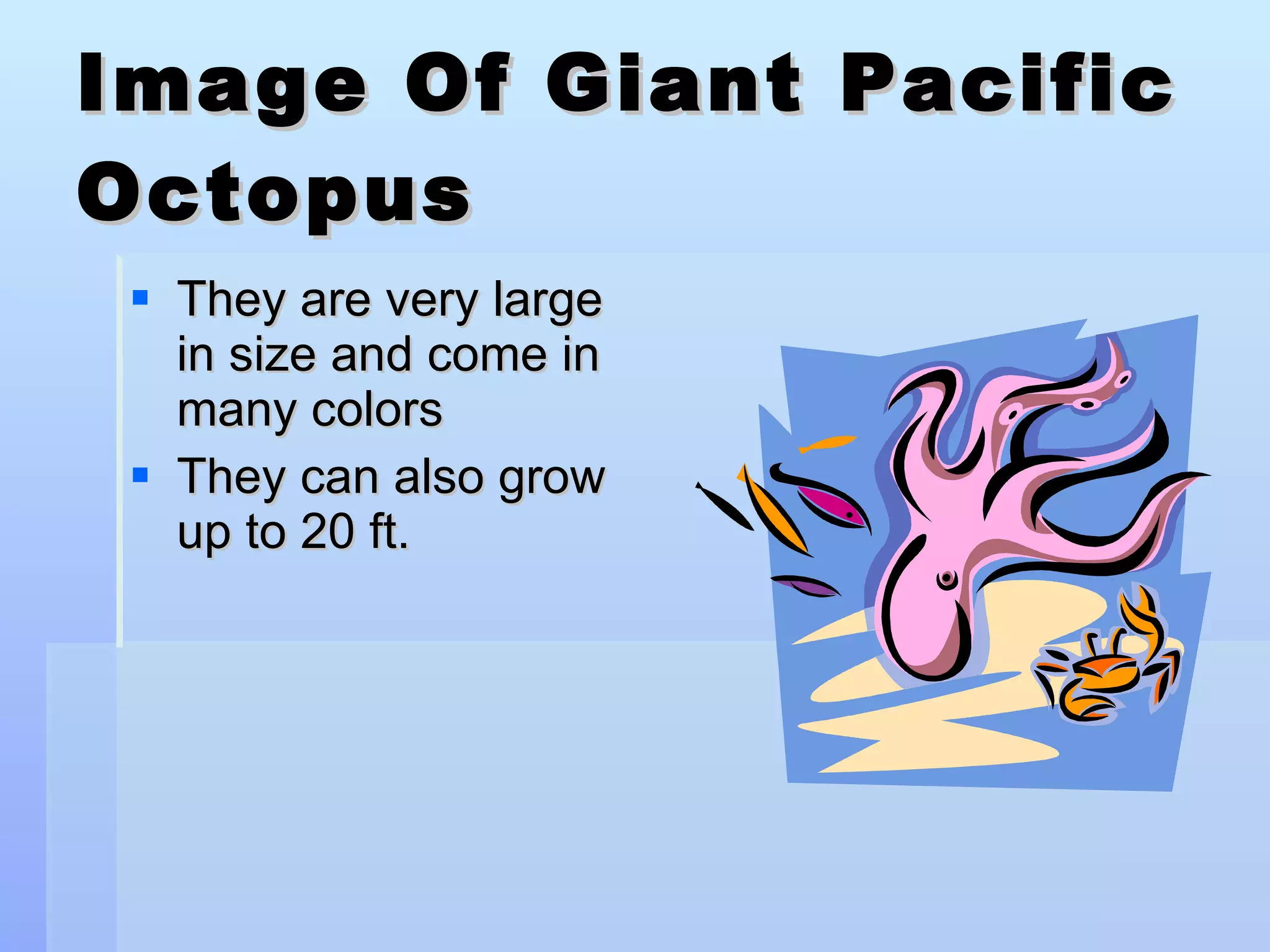 The Giant Pacific Octopus | PPT