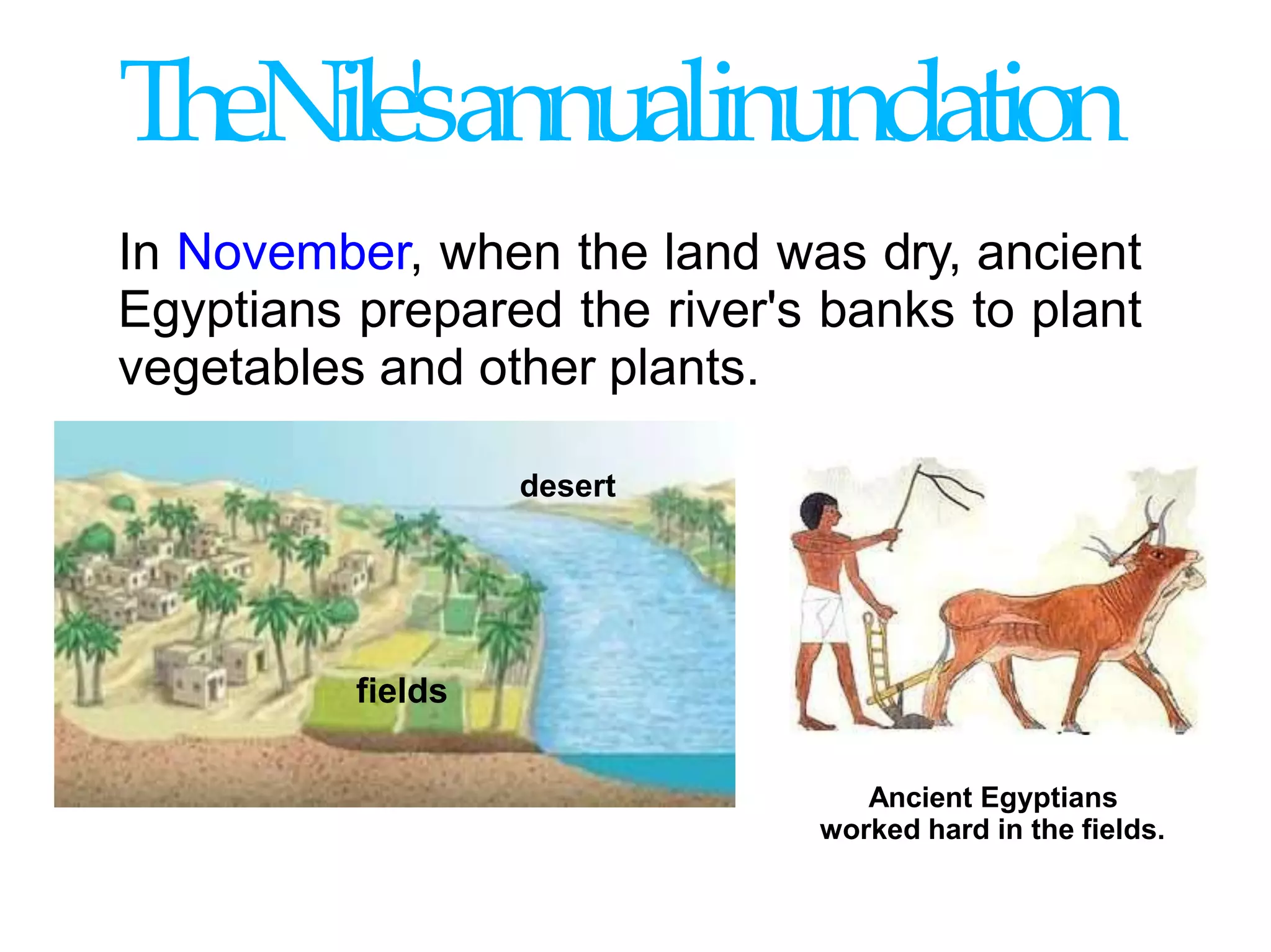 The gift of the nile | PPTX