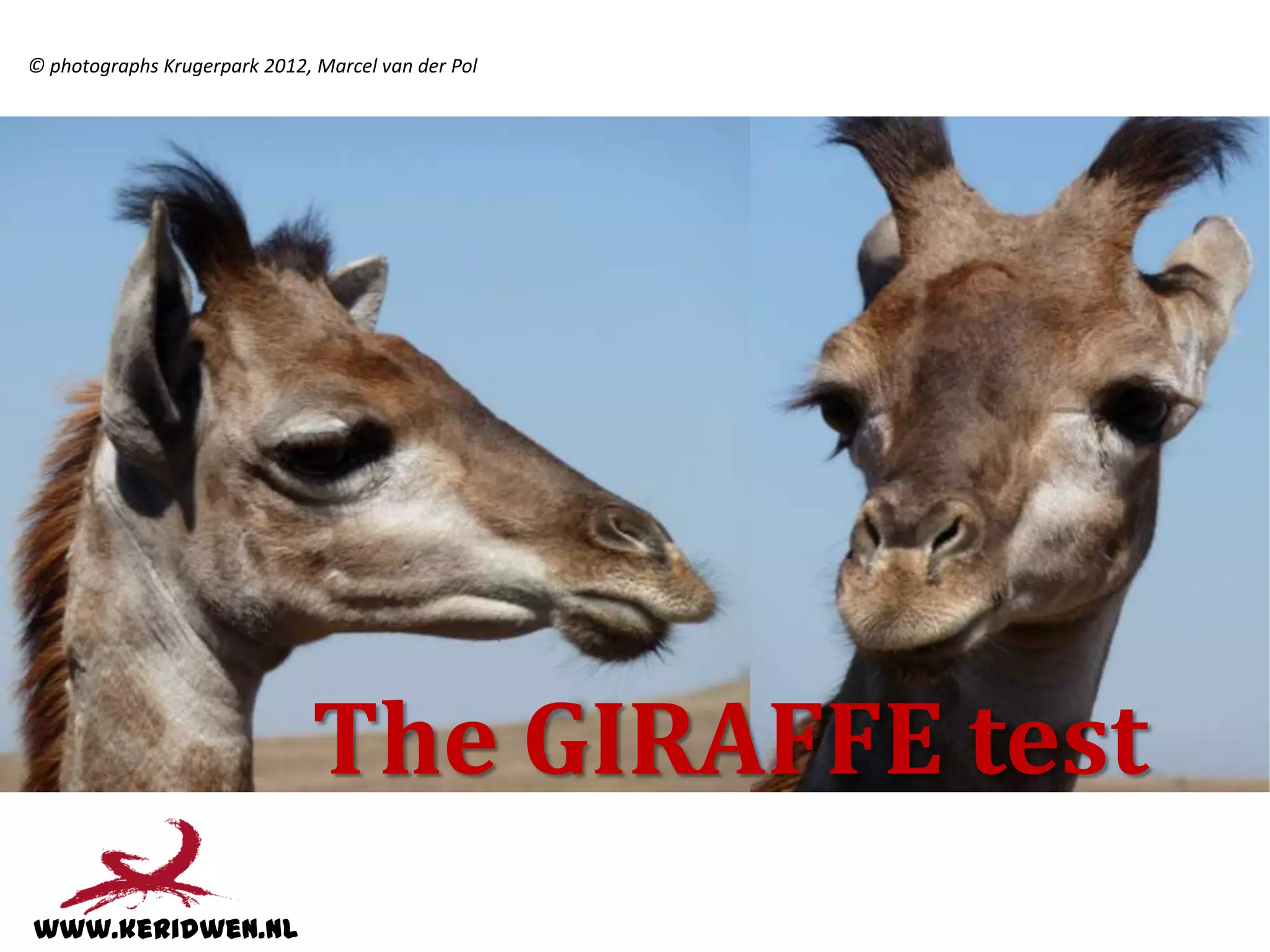The giraffe test | PPT