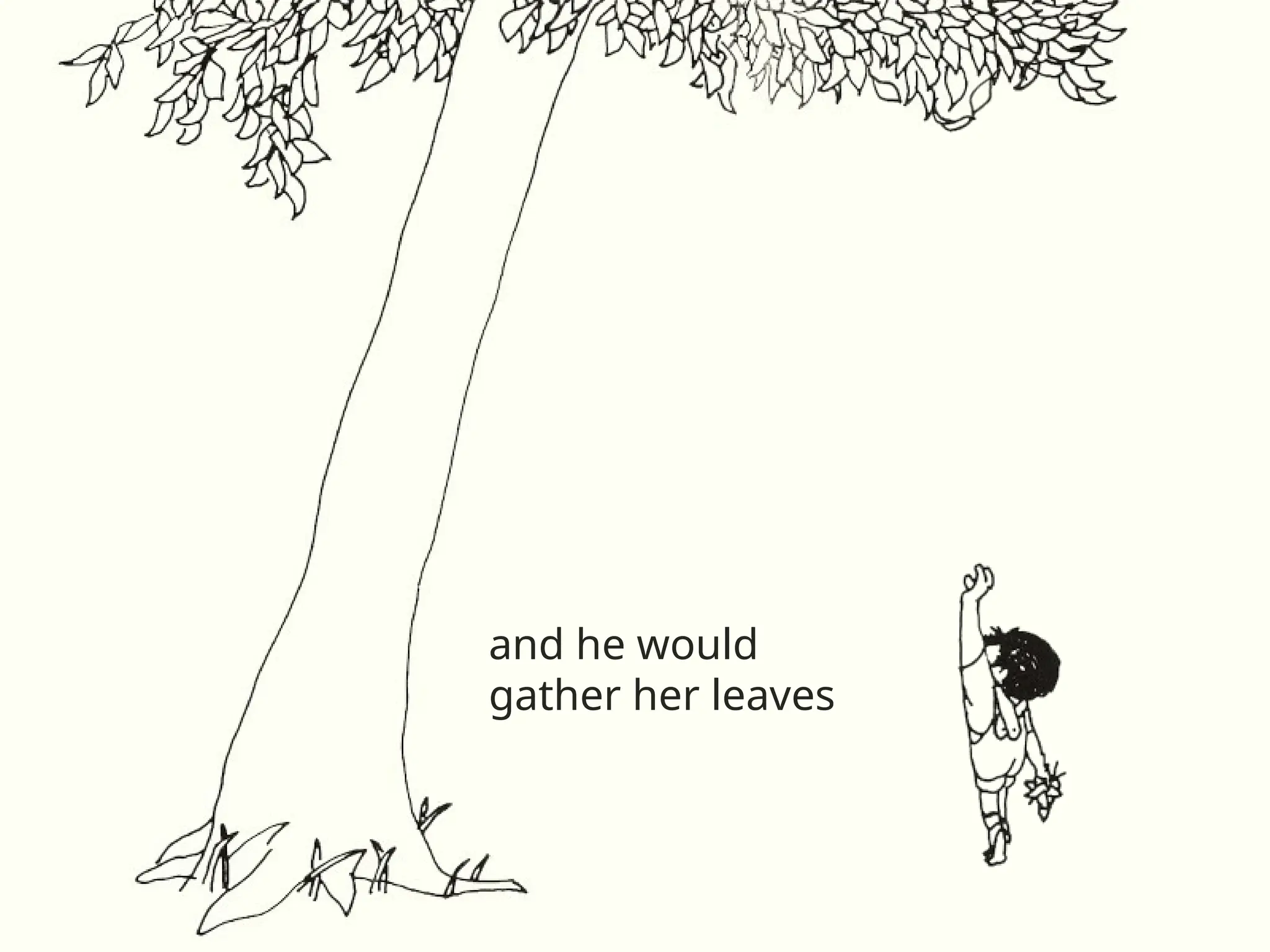 thegivingtree-by shel silverstein/powerpointpresentation | PPT