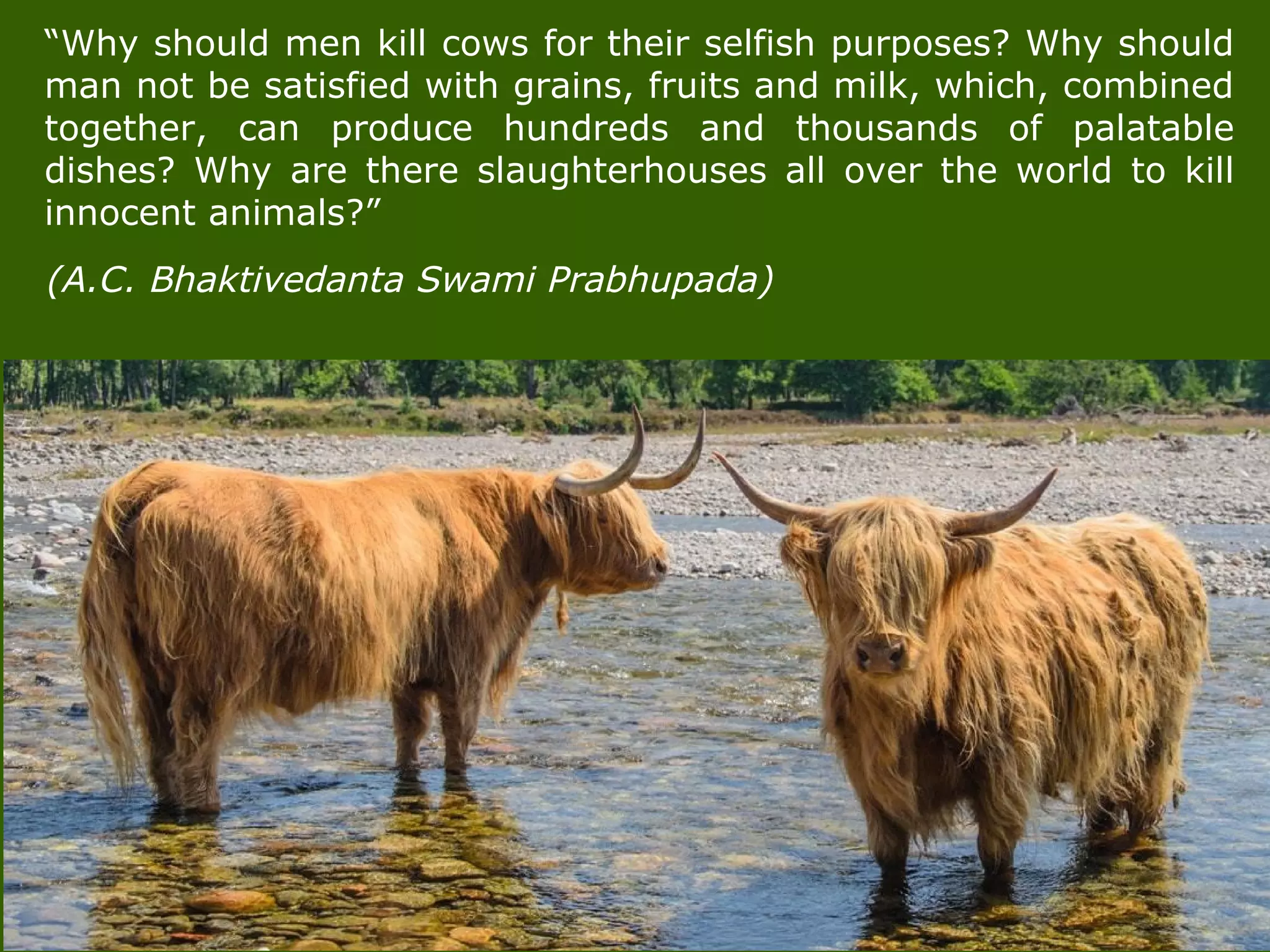 The global importance_of_cow_protection | PDF