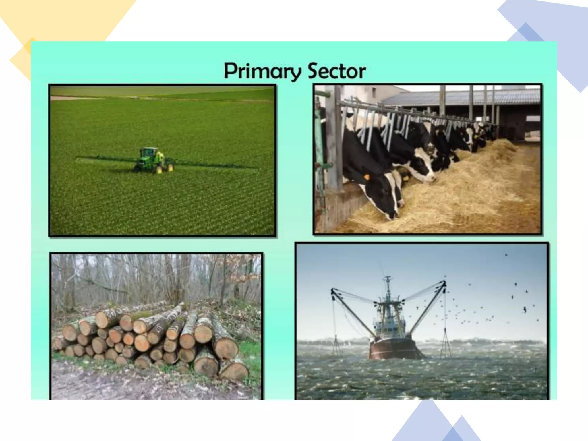 the sector of indian economy class 10 | PPTX