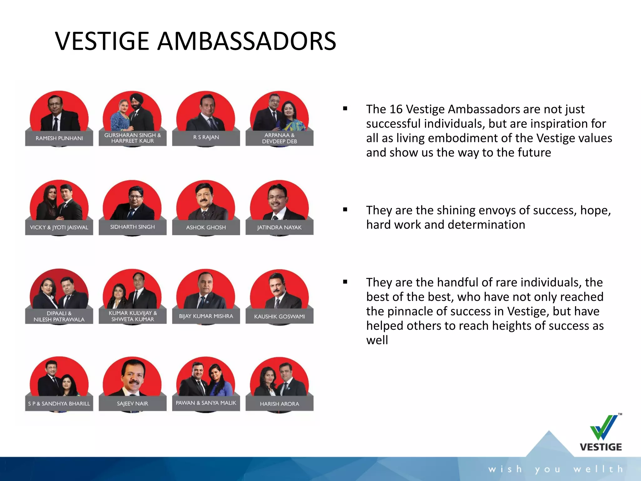 VESTIGE PLAN PRESENTATION | PDF