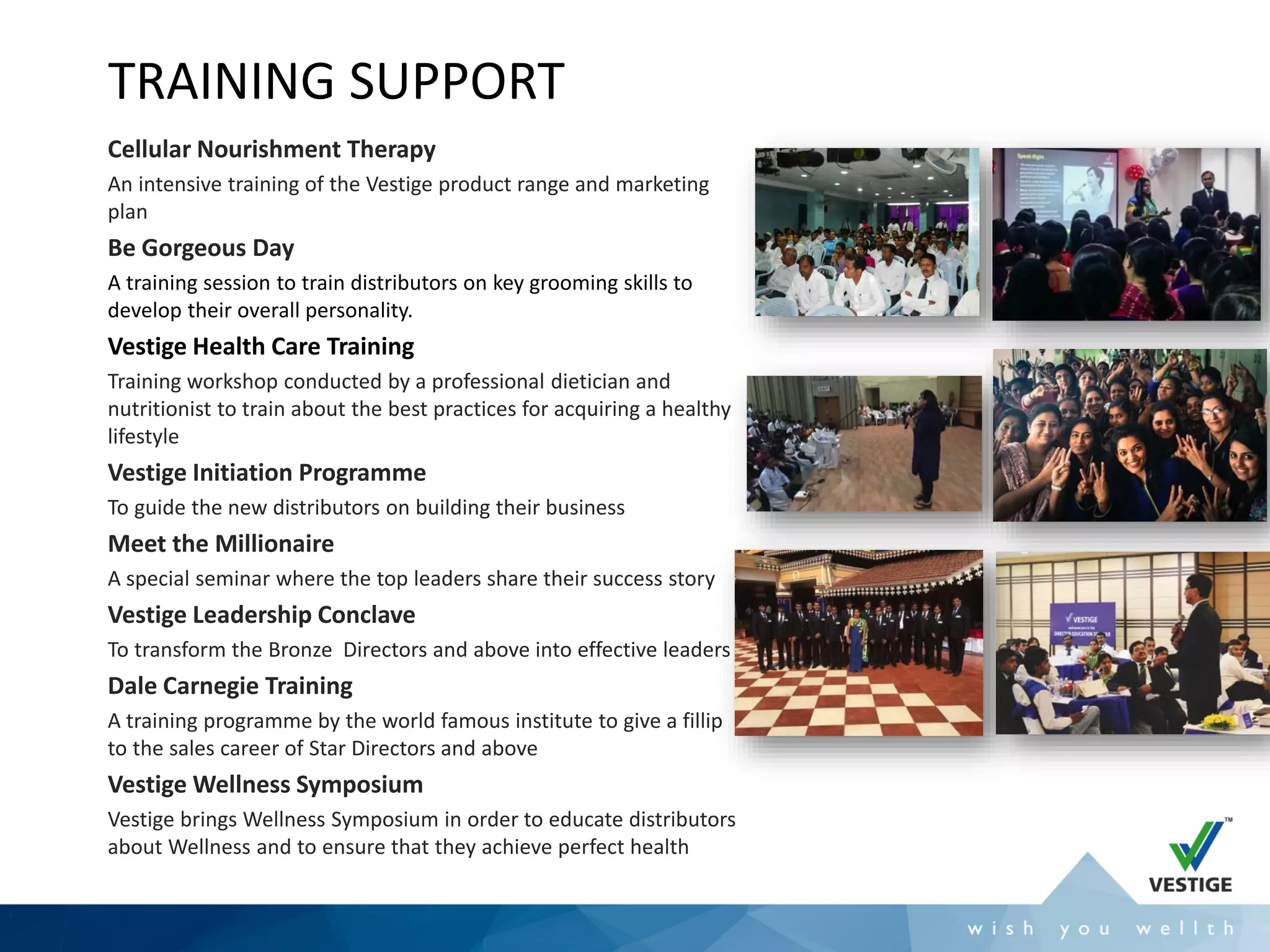 VESTIGE PLAN PRESENTATION | PDF